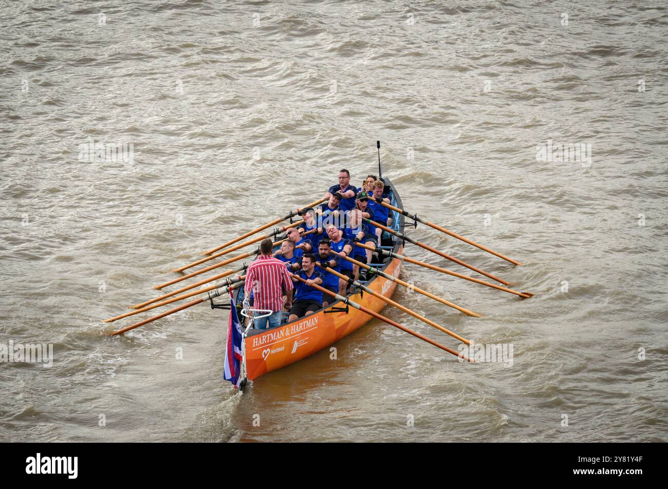 Great River Race 2024 Dutch crew rowing a Whaler Stock Photo - Alamy