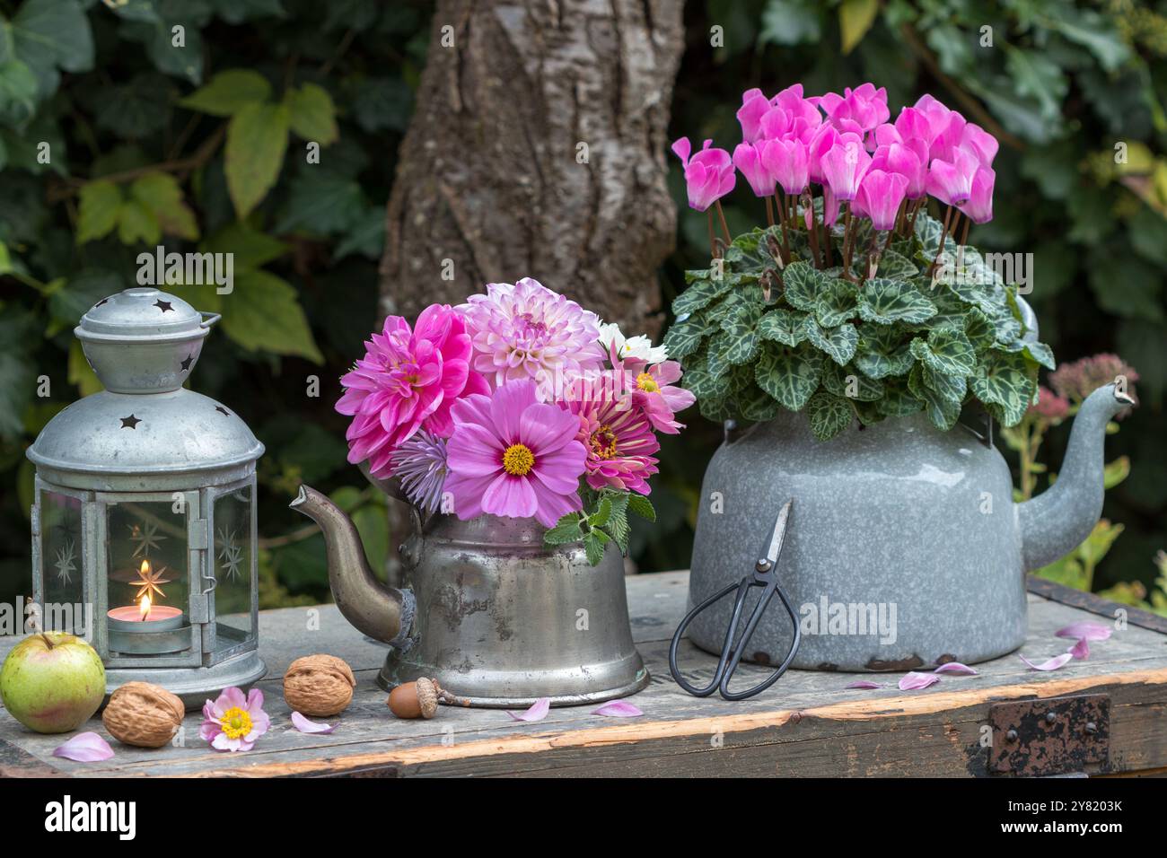 romantic arrangement with bouquet of pink cosmos flower, dahlias ...