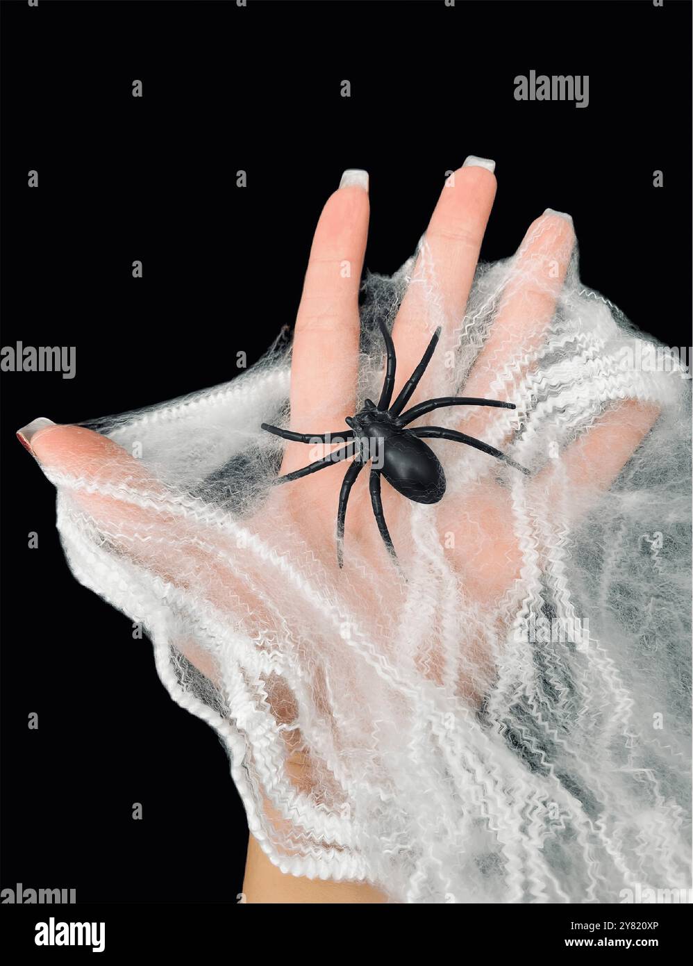 Spider is sitting on persons hand with blurry Stock Photo - Alamy