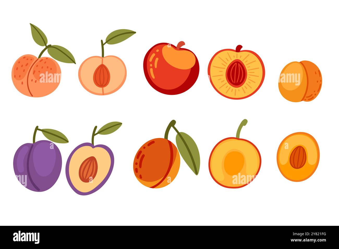 Collection of variety of sliced stone fruits peaches, plums, and ...