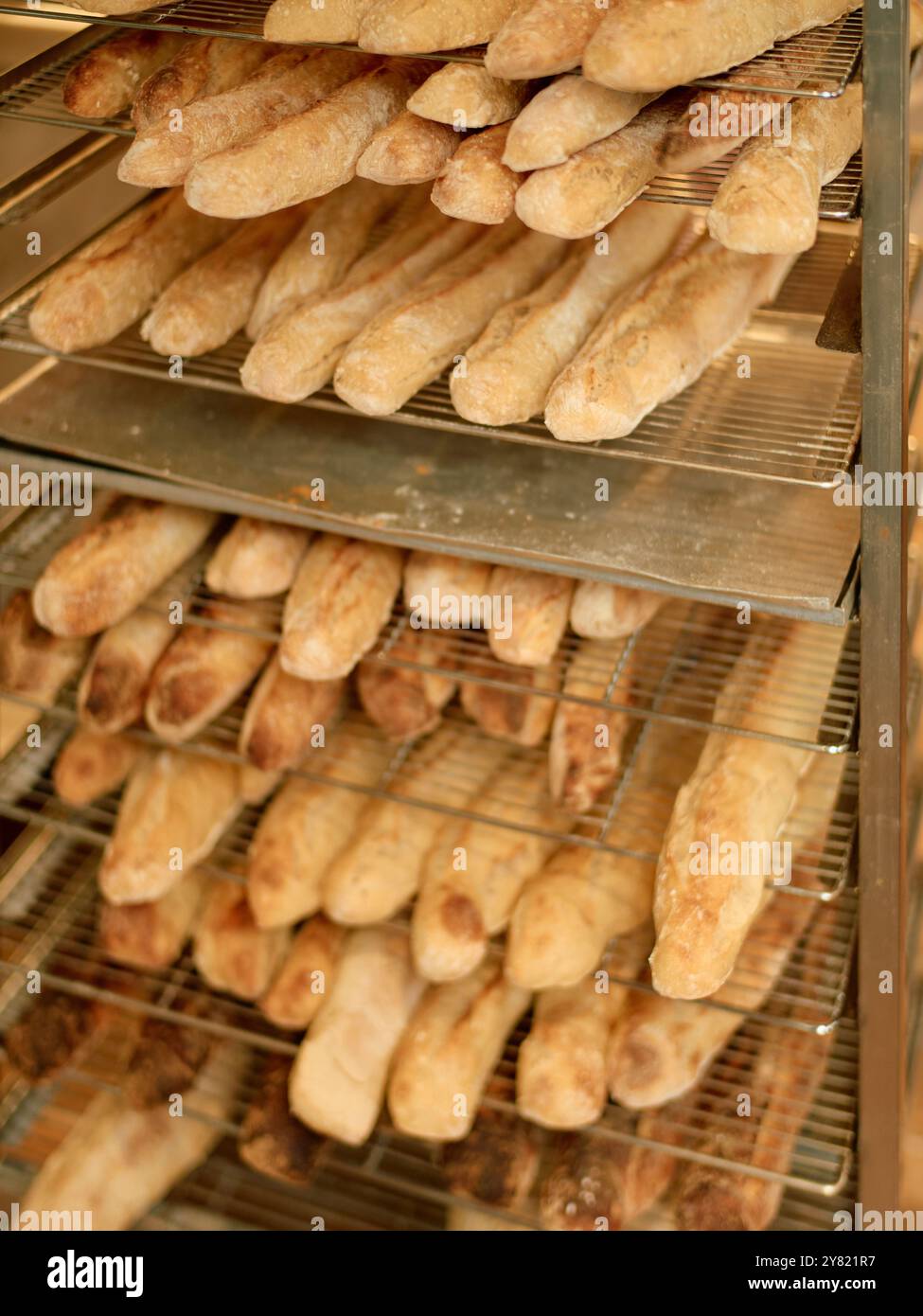 Freshly baked baguettes on display in a bakery's wooden shelving unit ...