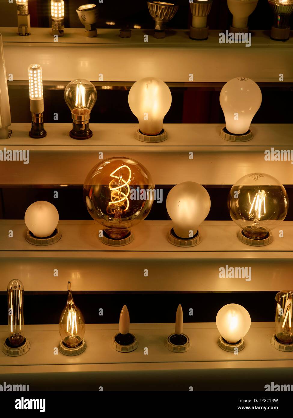 An array of various illuminated light bulbs on display on shelves ...