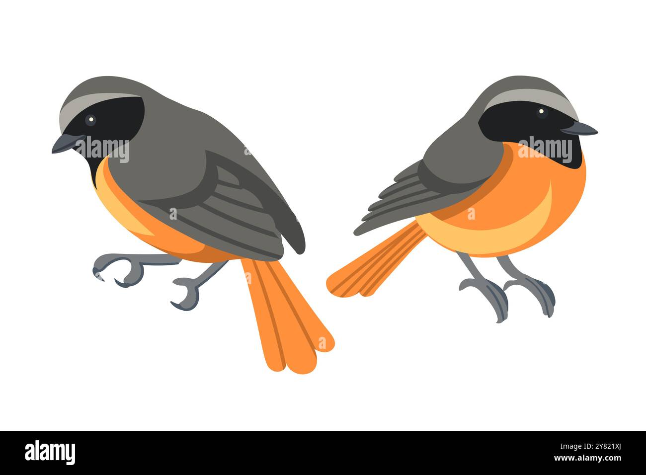 Set of common redstart bird in resting position. Cartoon animal design ...