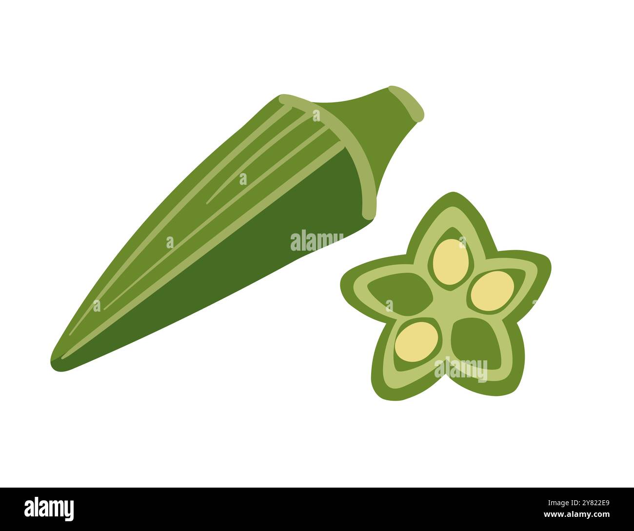 Okra seed pod Stock Vector Images - Alamy