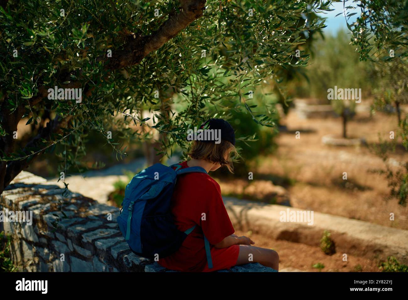Person under olive tree hi-res stock photography and images - Alamy