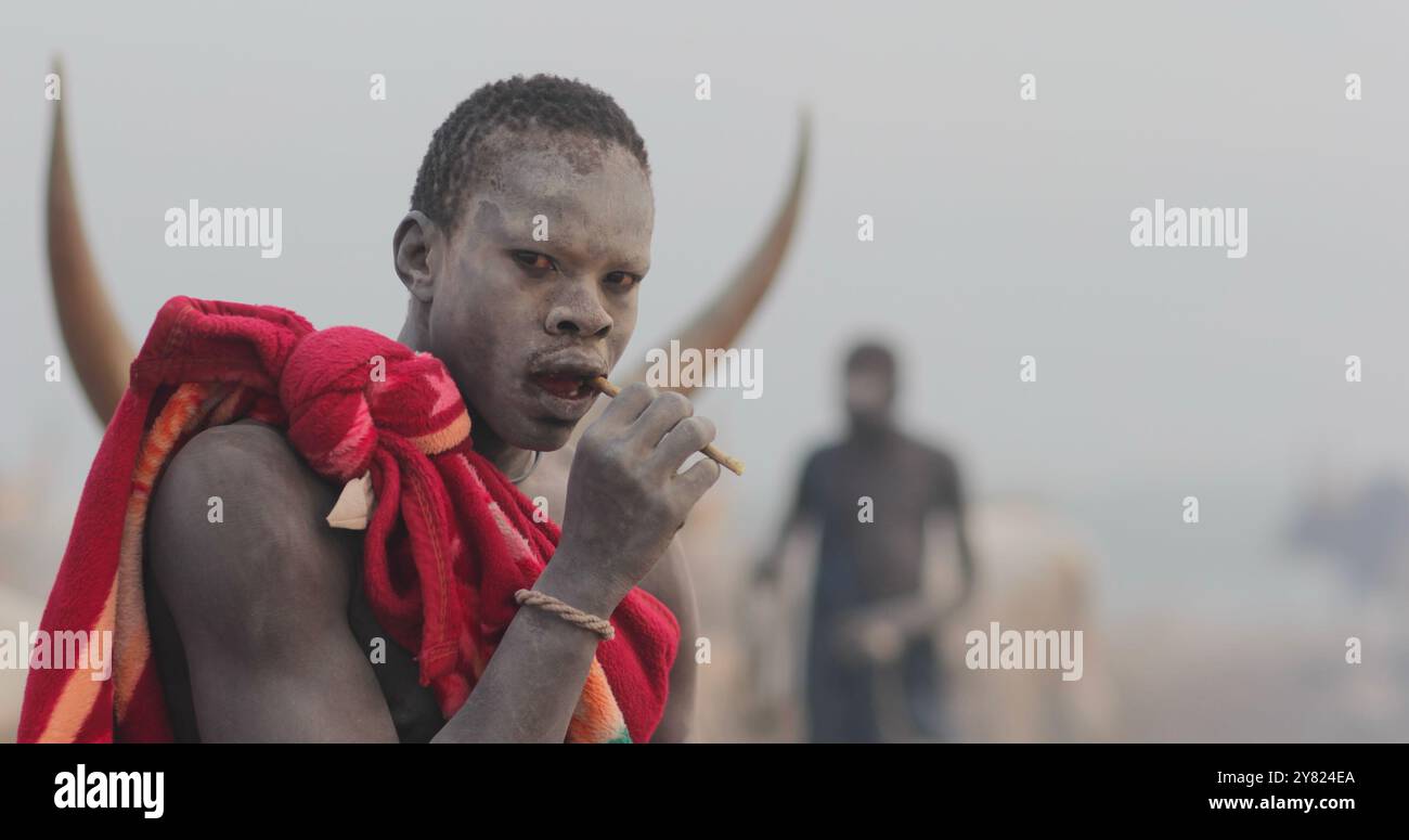 Mundari tribe man using a wooden toothbrush in a cattle camp, Central ...