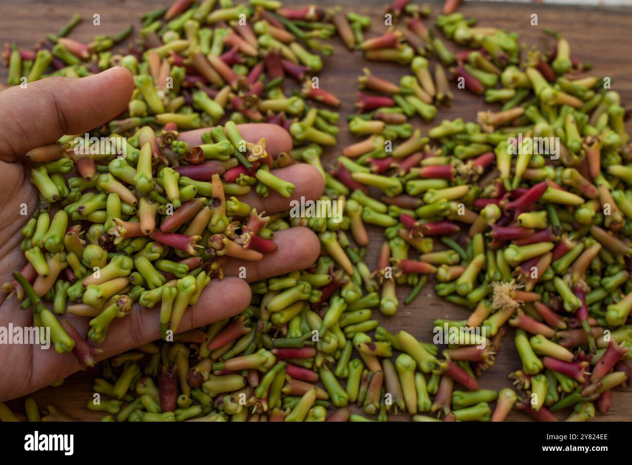 typography of cloves Stock Photo - Alamy