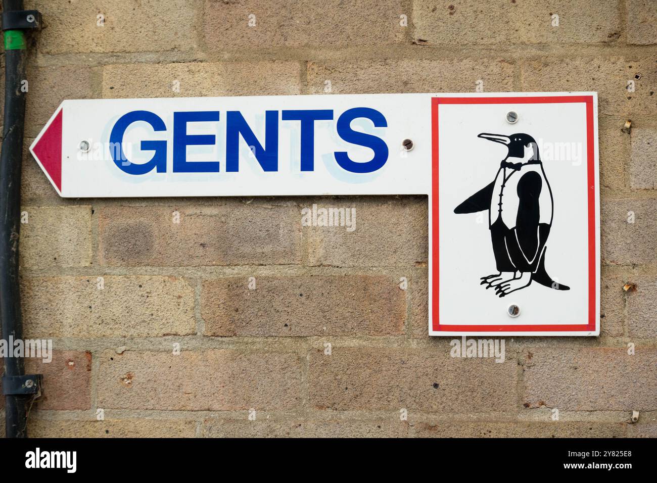 Penguin Lavatory Bathroom Toilet Sign Stock Photo - Alamy