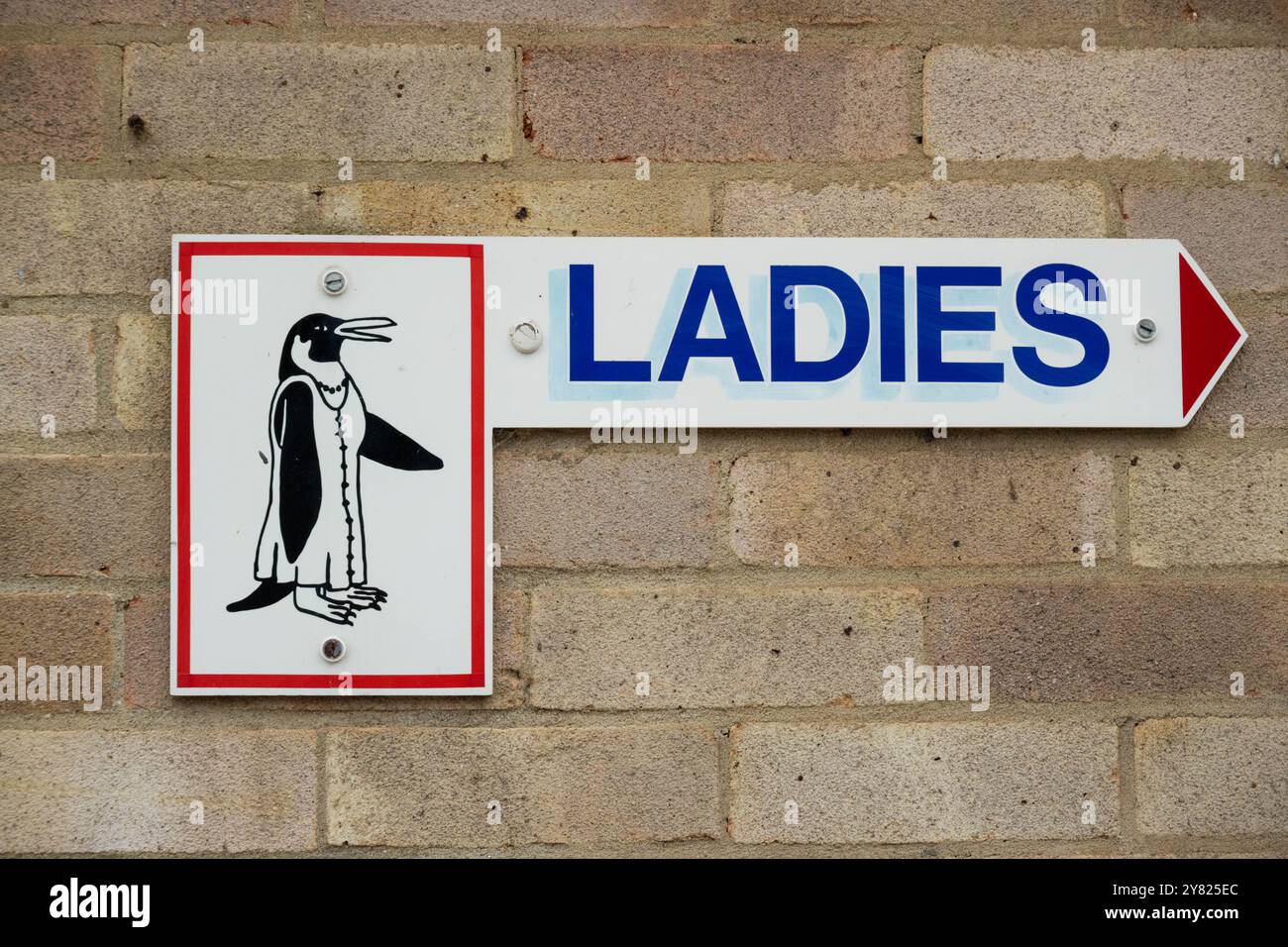 Penguin Lavatory Bathroom Toilet Sign Stock Photo - Alamy