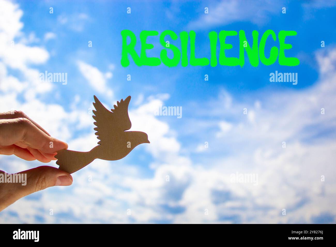 Resilience symbol. Concept word Resilience on beautiful blue sky ...
