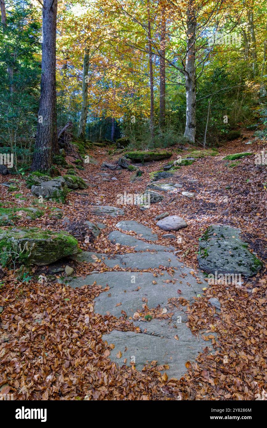 Roman road, Boca del Infierno route, Valley of Hecho, western valleys ...