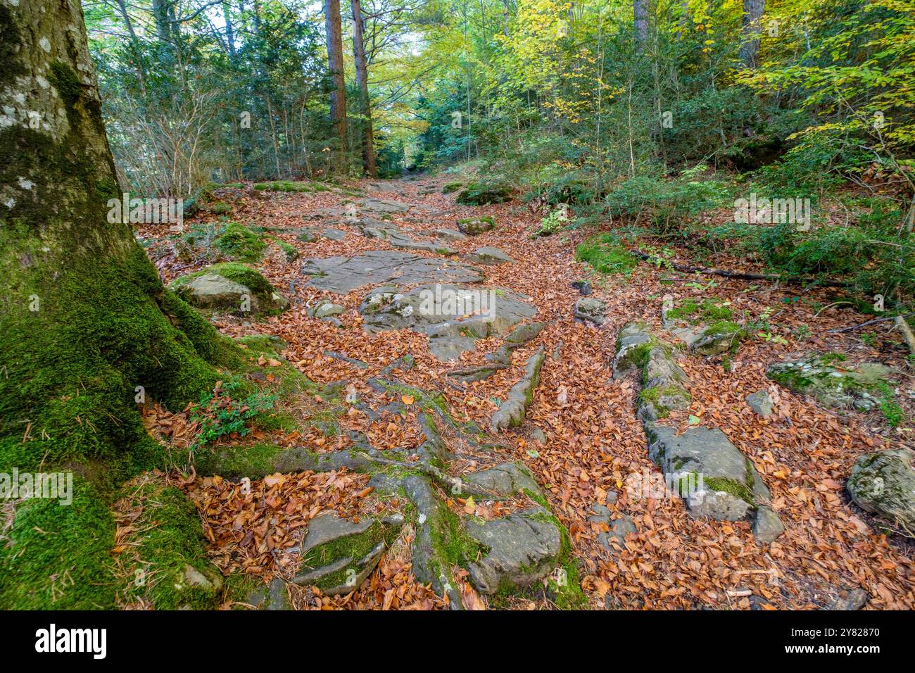 Roman road, Boca del Infierno route, Valley of Hecho, western valleys ...