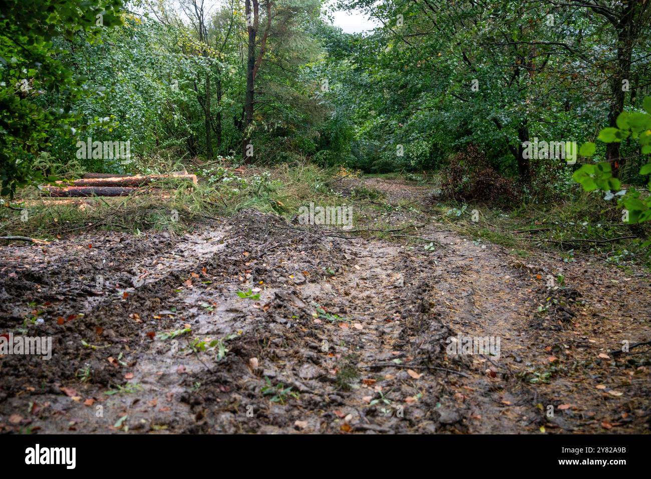 The pathways that people would normally use completely covered with ...