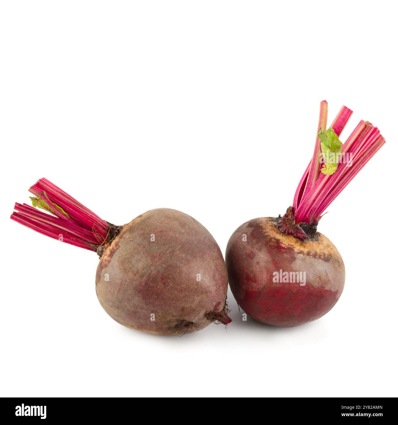 Closeup beetroots (beet roots) isolated on white background. Free space ...