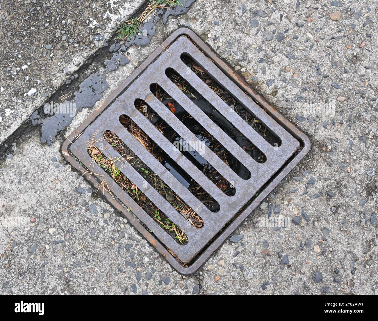 02 October 2024, Brandenburg, Eisenhüttenstadt: A rainwater inlet (also ...