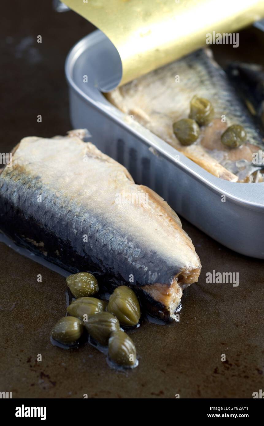 Macro Closeup of Sardines, Capers and Aluminum Container Vertical Stock ...