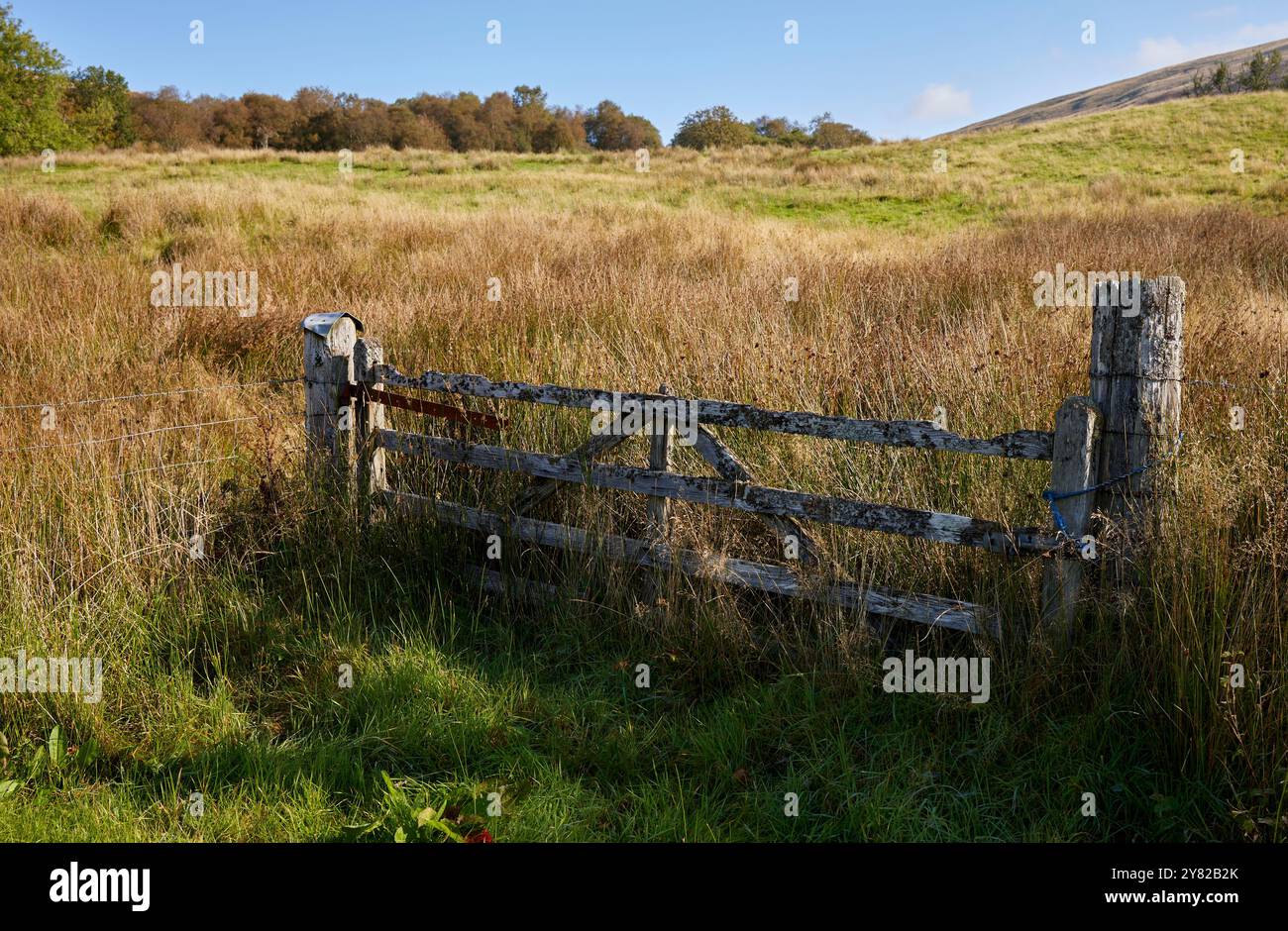 Old and rather dilapidated farm gate leading onto empty rush covered ...