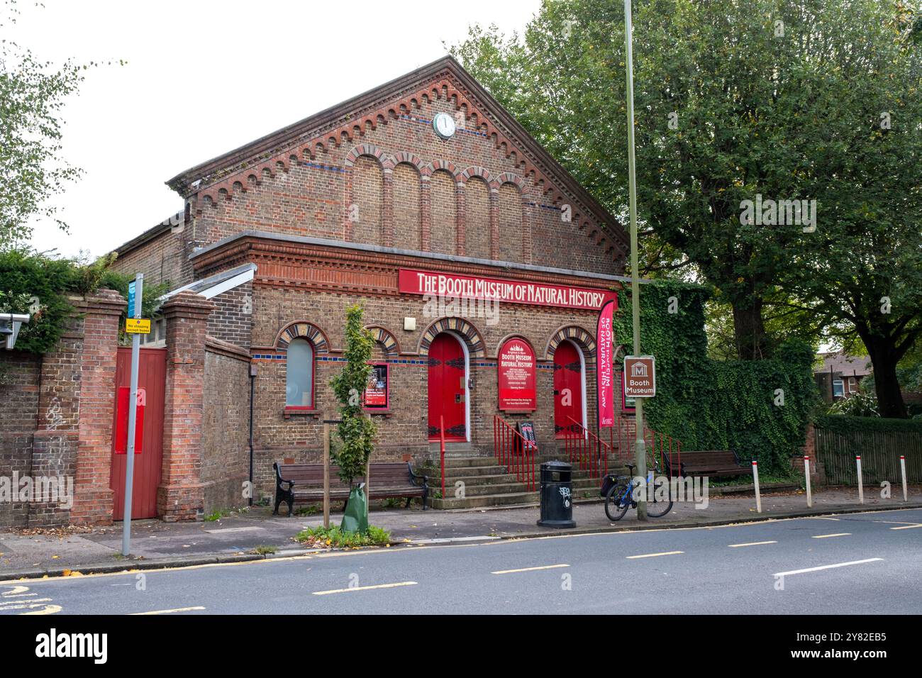 Booth Museum of Natural History, Brighton, UK Stock Photo - Alamy