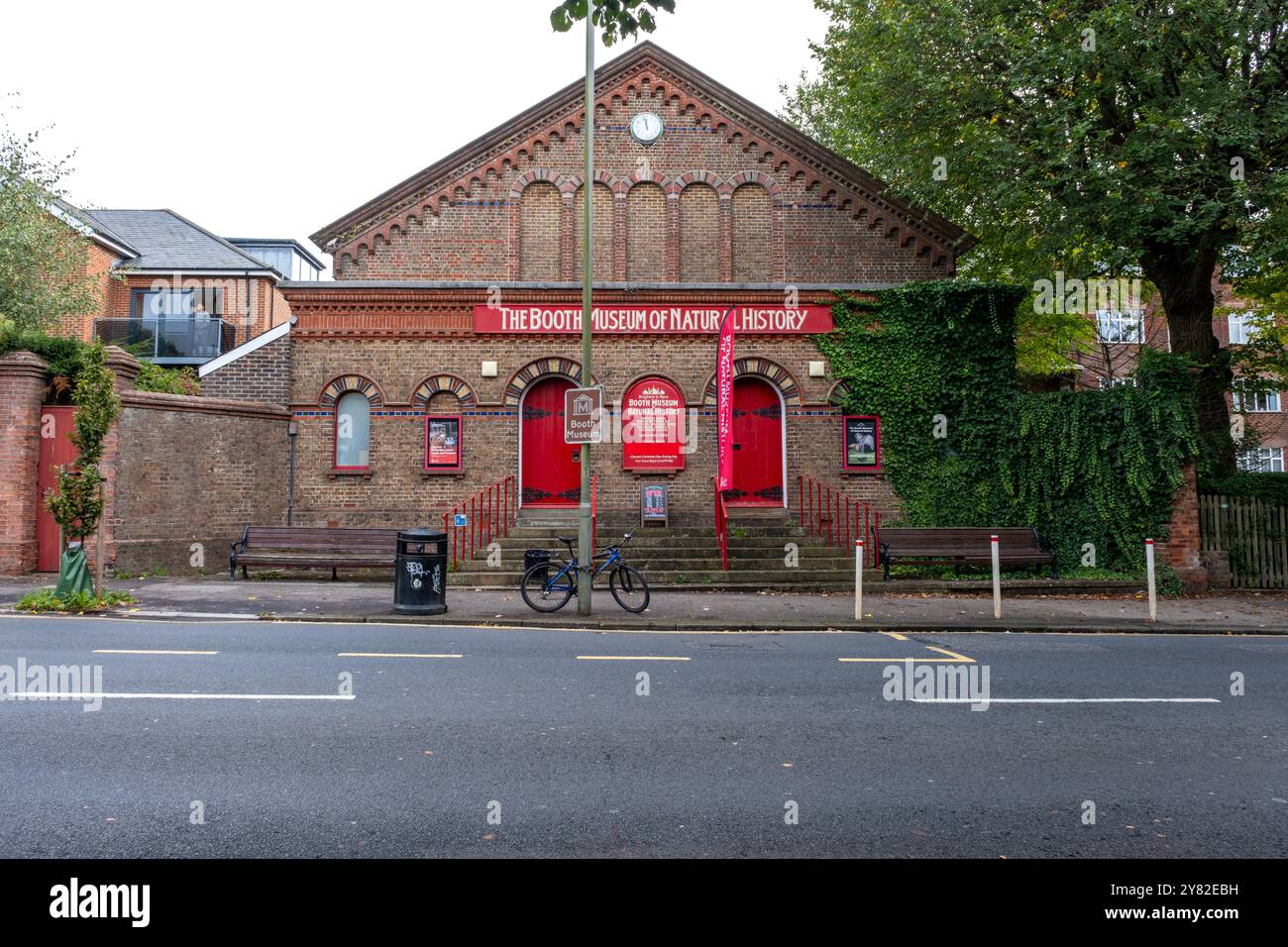 Booth Museum of Natural History, Brighton, UK Stock Photo - Alamy