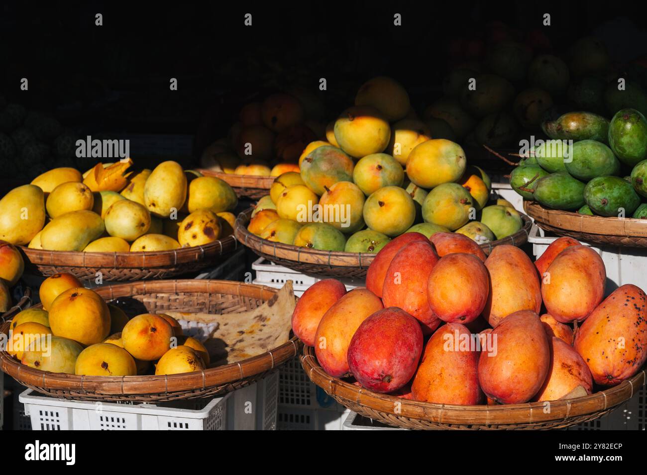 assortment of different mango varieties on the market in Asia. Yellow ...
