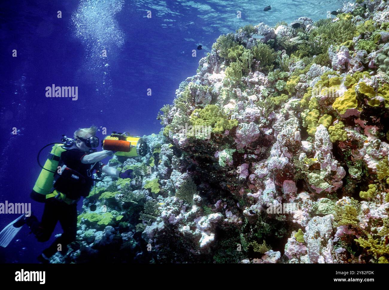 Underwater video filming in crystal clear water and divers growth of ...