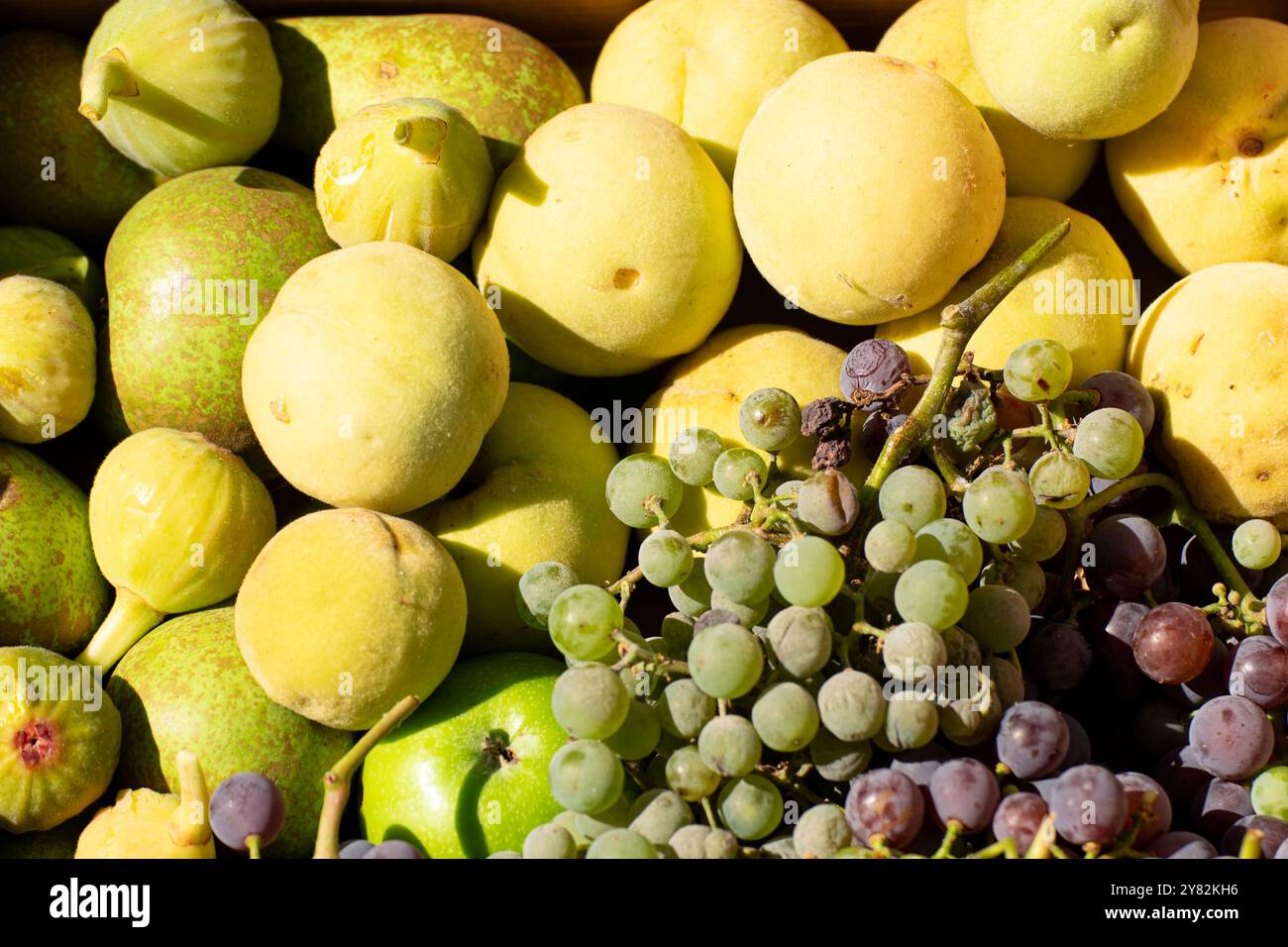 late summer fruits, pears, figs, apples, grapes and peaches ...