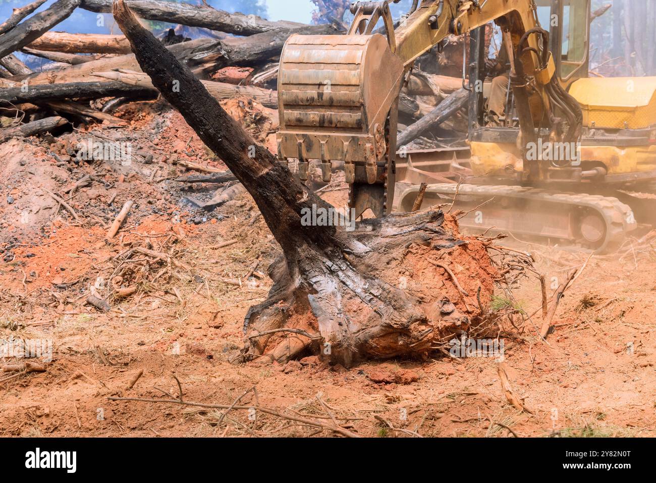 Firefighters working in forest, excavator clears after fire burnt trees ...