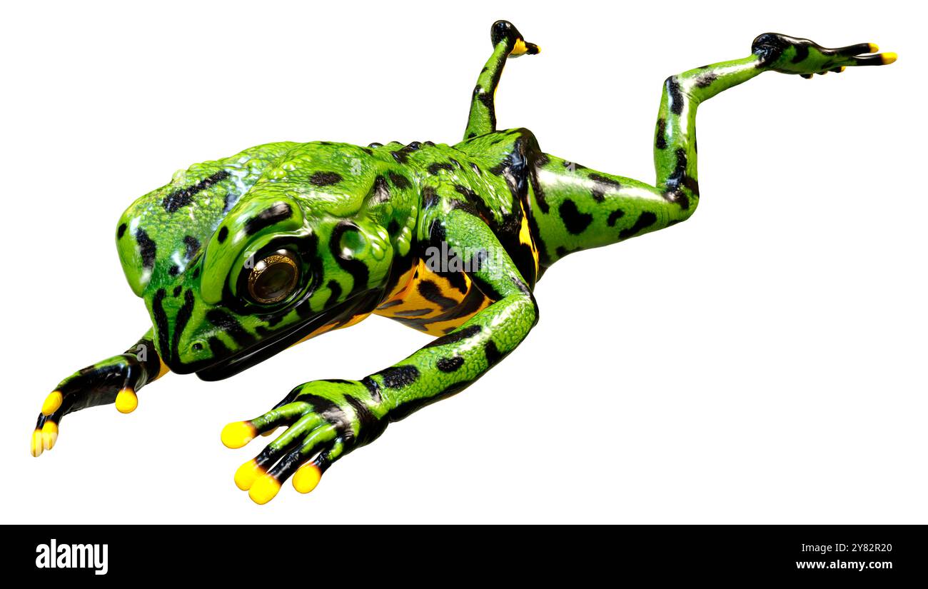 3D rendering of a cartoon oriental fire bellied toad or Bombina ...