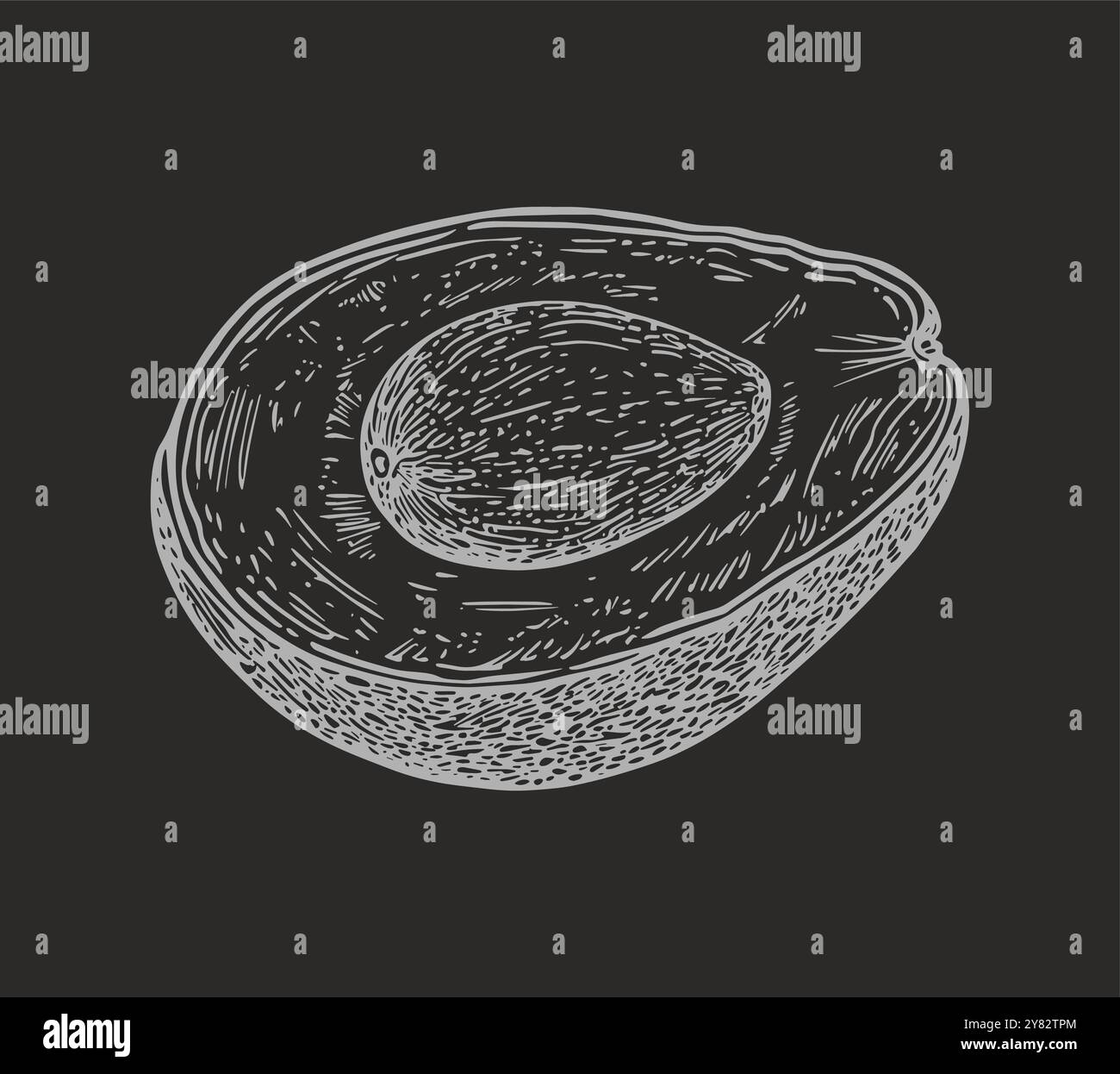 Avocado Half Sketch Vector Illustration Avocado Half Sketch Vector ...