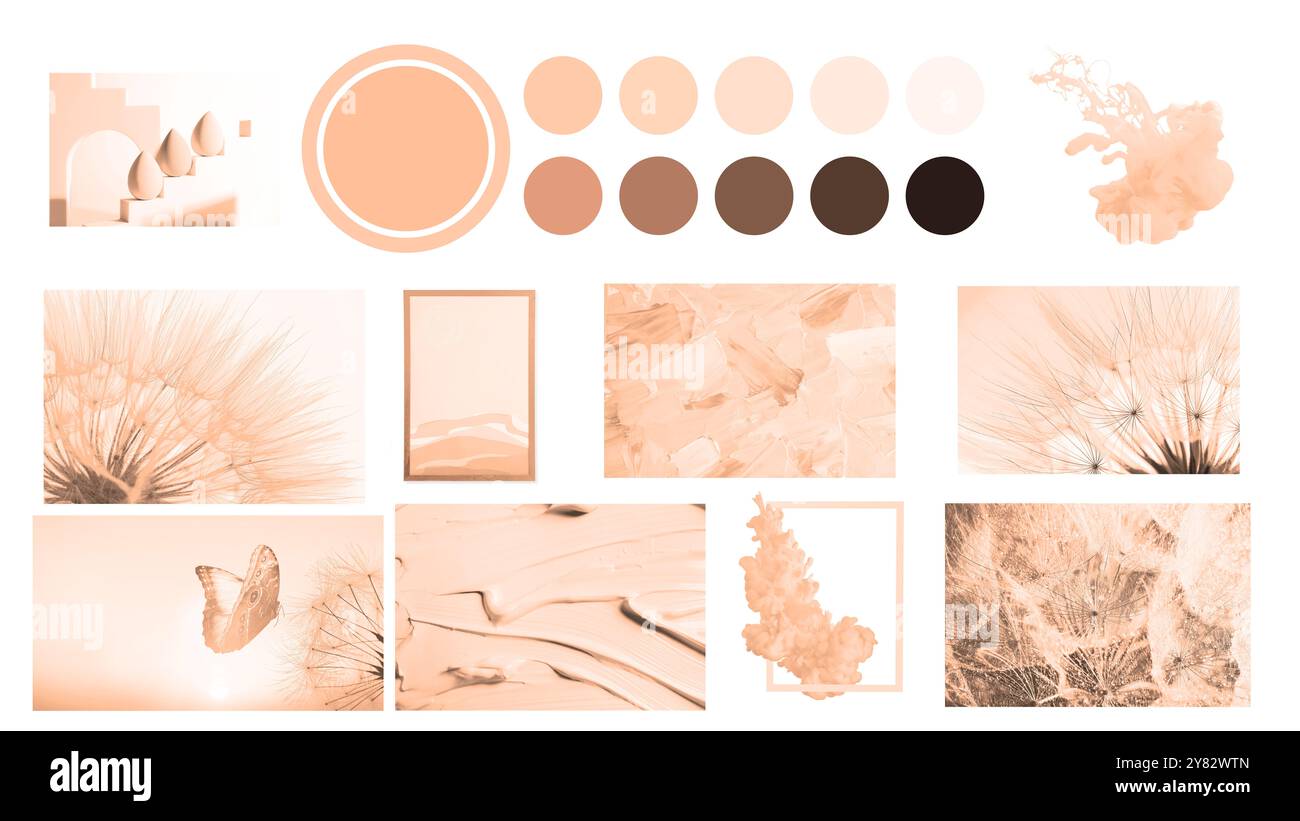 Peach fuzz background Cut Out Stock Images & Pictures - Alamy