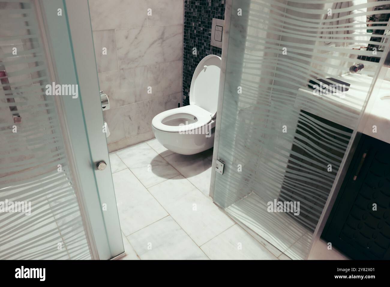 Ceramic toilet bowl and shower stall in bathroom Stock Photo - Alamy