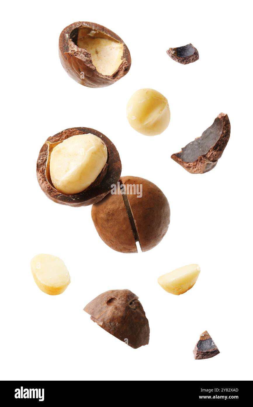 Macadamia nuts and crushed shells in air on white background Stock ...
