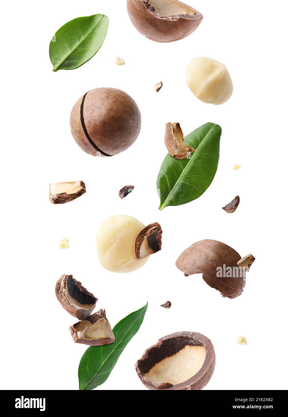 Macadamia nuts and crushed shells in air on white background Stock ...