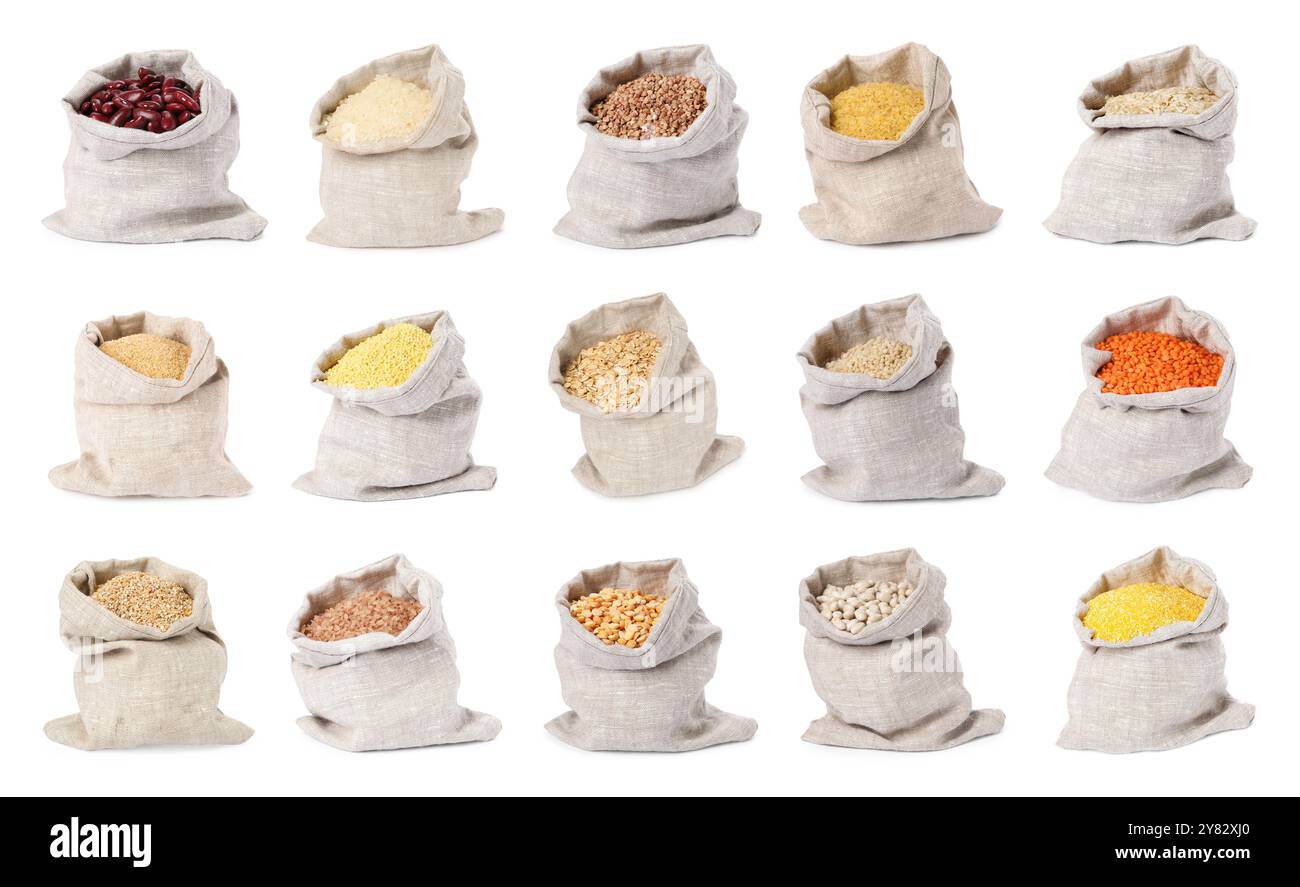 Different cereal grains and beans in sacks on white background ...