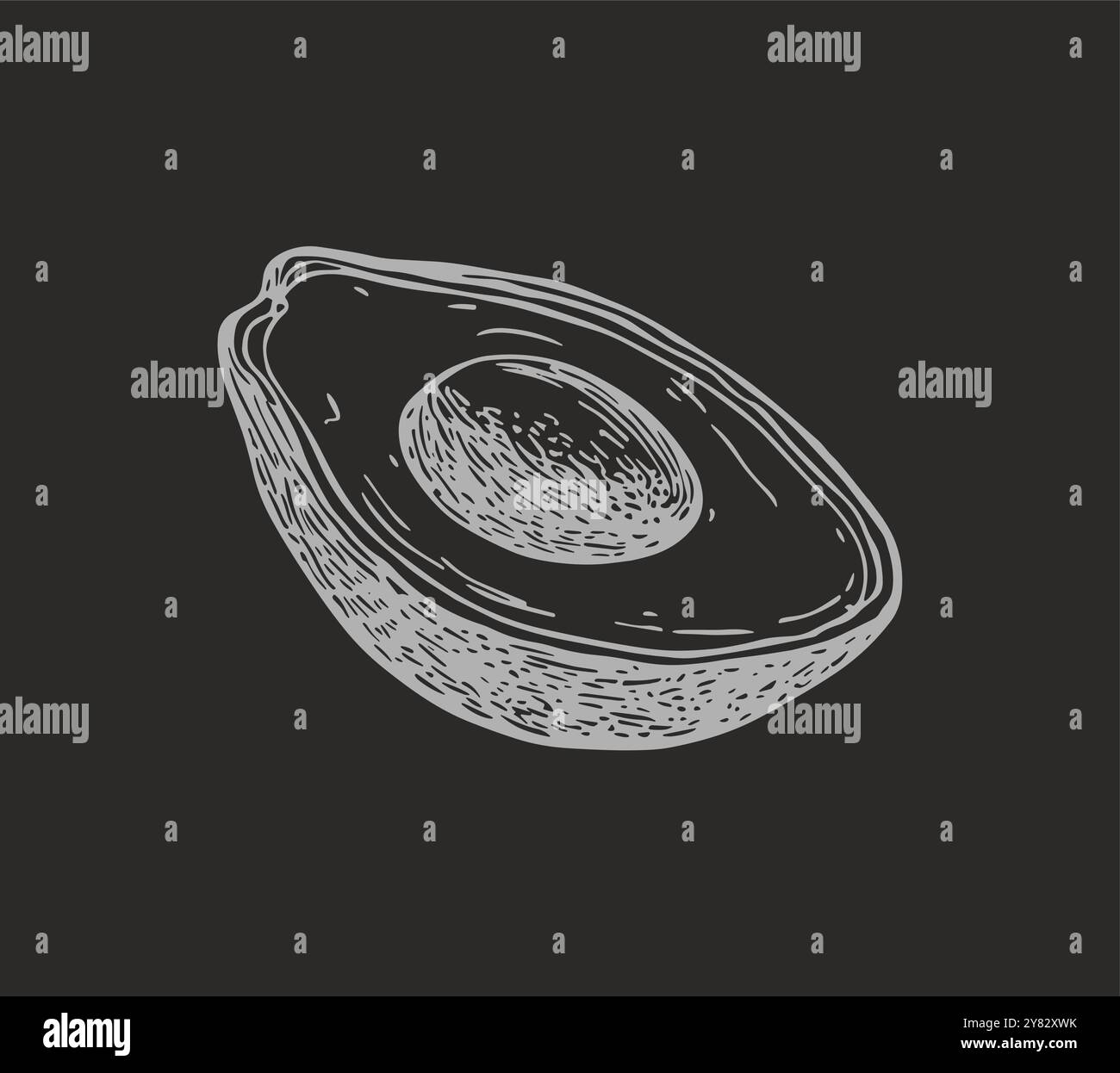Avocado Half Sketch Vector Illustration Avocado Half Sketch Vector ...