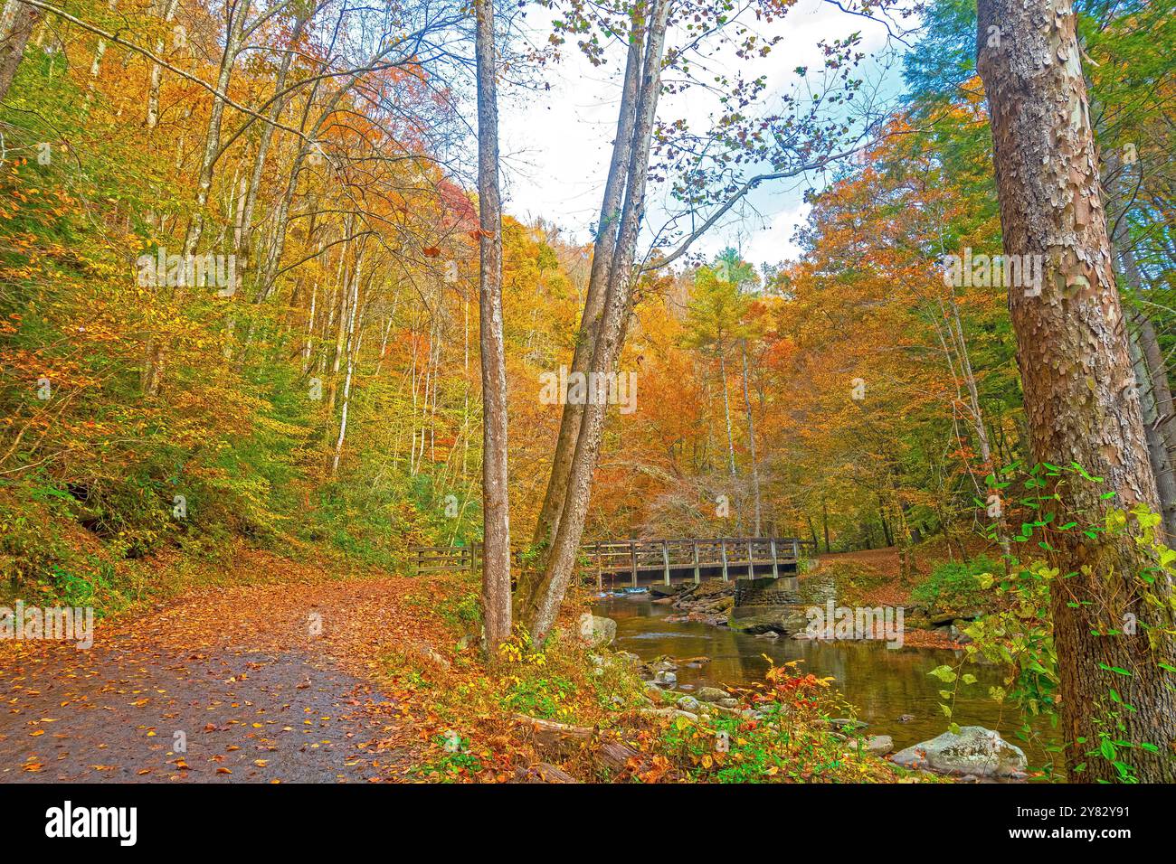 Rustic Bridge in the Autumn Forest on Deep Creek in the Smoky Mountains ...