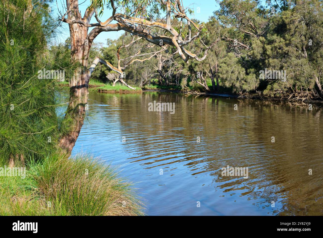Kings meadow reserve hi-res stock photography and images - Alamy