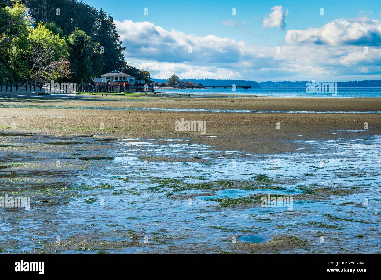 A view of waterfront homes along the shore at Dash Point, Washington ...