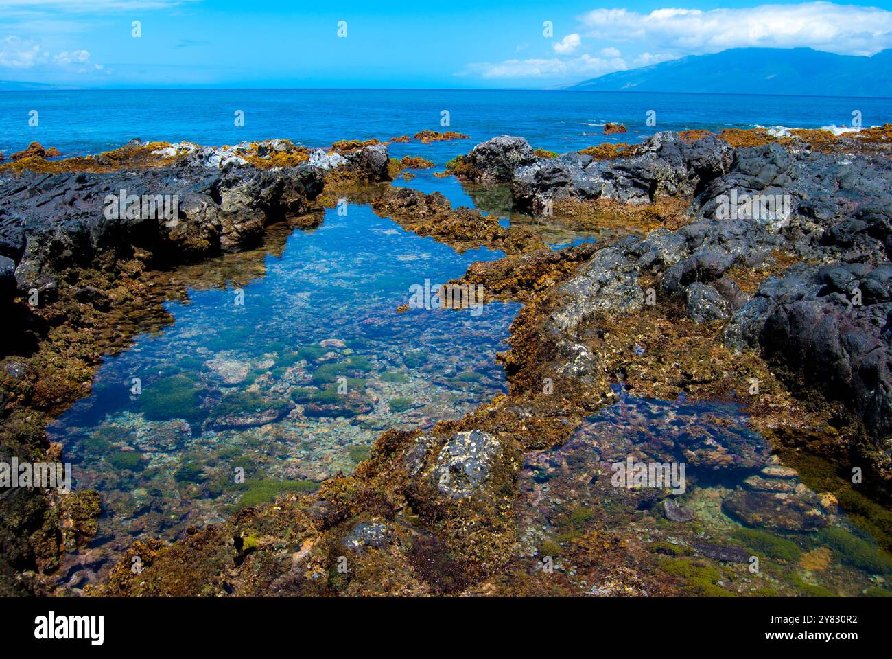 Tide Pools in Lava Shoreline, Maui, Hawaii Stock Photo - Alamy