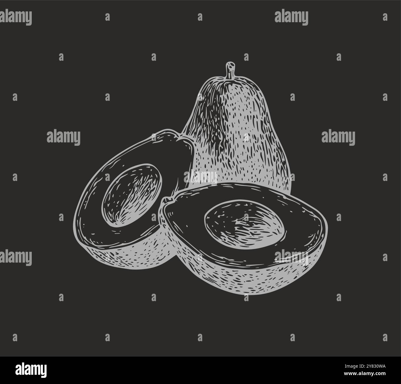 Avocado Half Sketch Vector Illustration Avocado Half Sketch Vector ...