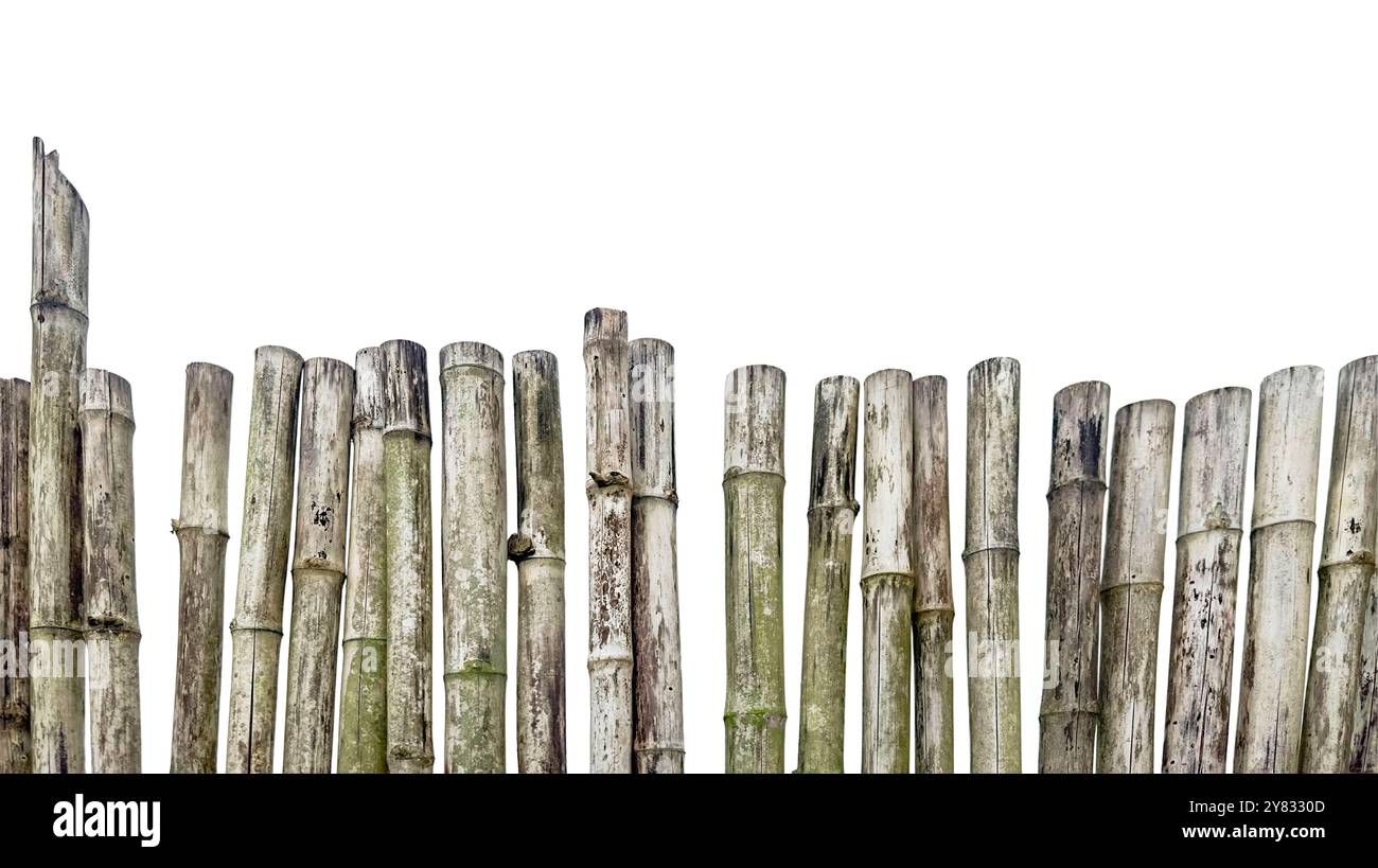 Cut out of an old, weathered bamboo fence with a grayish hue, showing ...