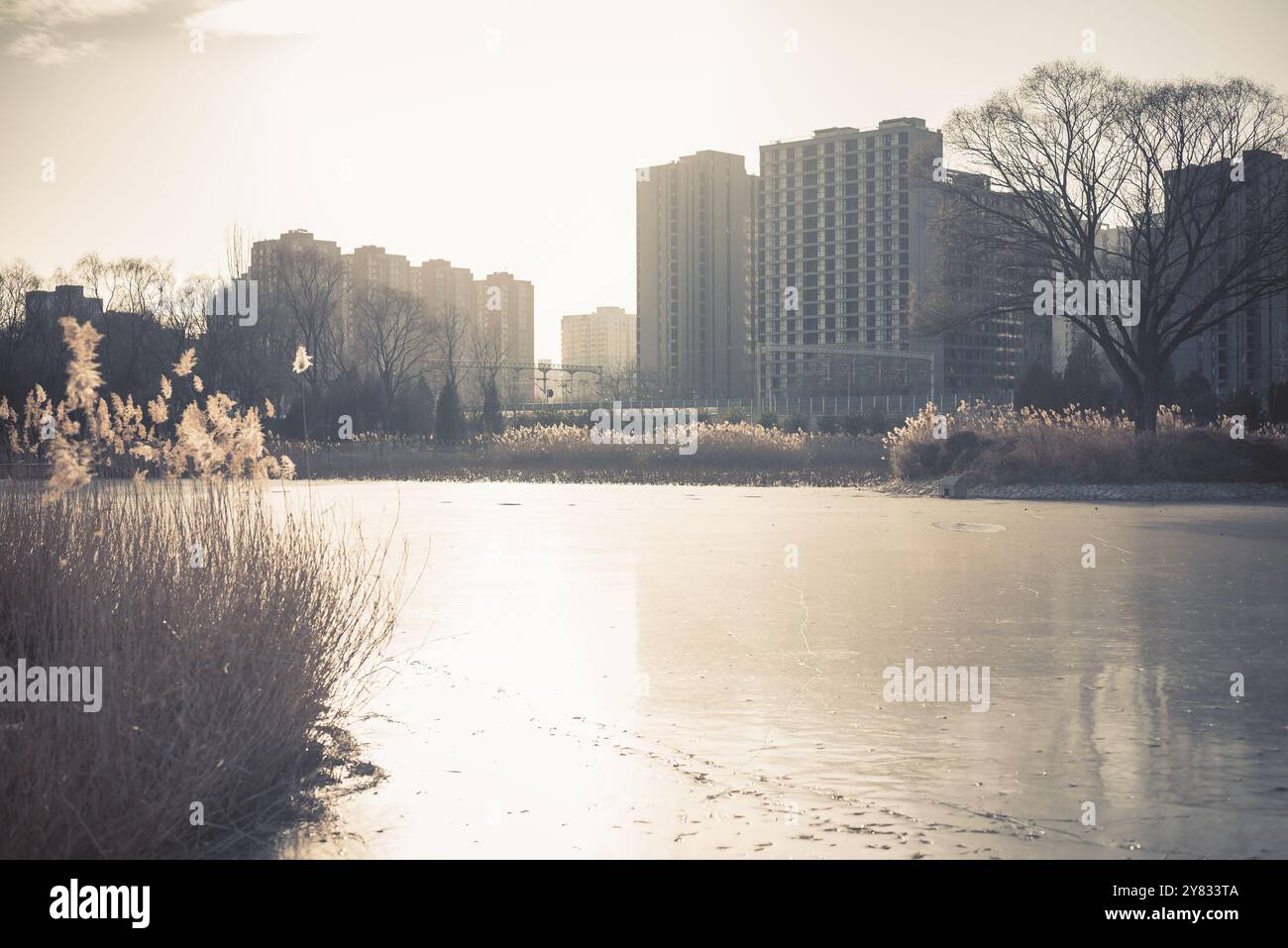 Desolate city hi-res stock photography and images - Alamy