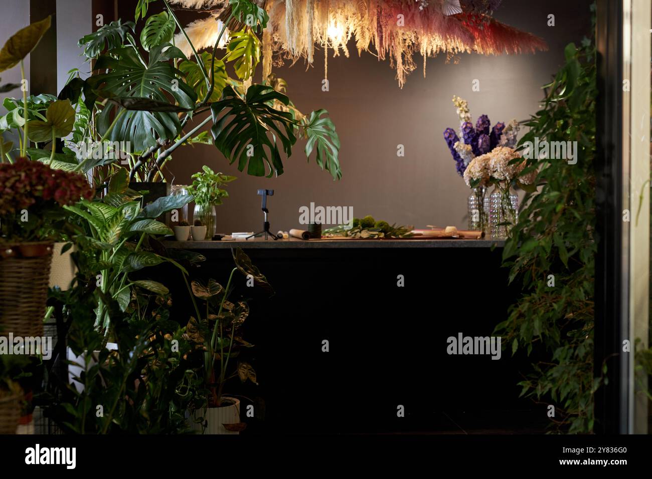 Front view background image of counter in elegant flower shop decorated ...