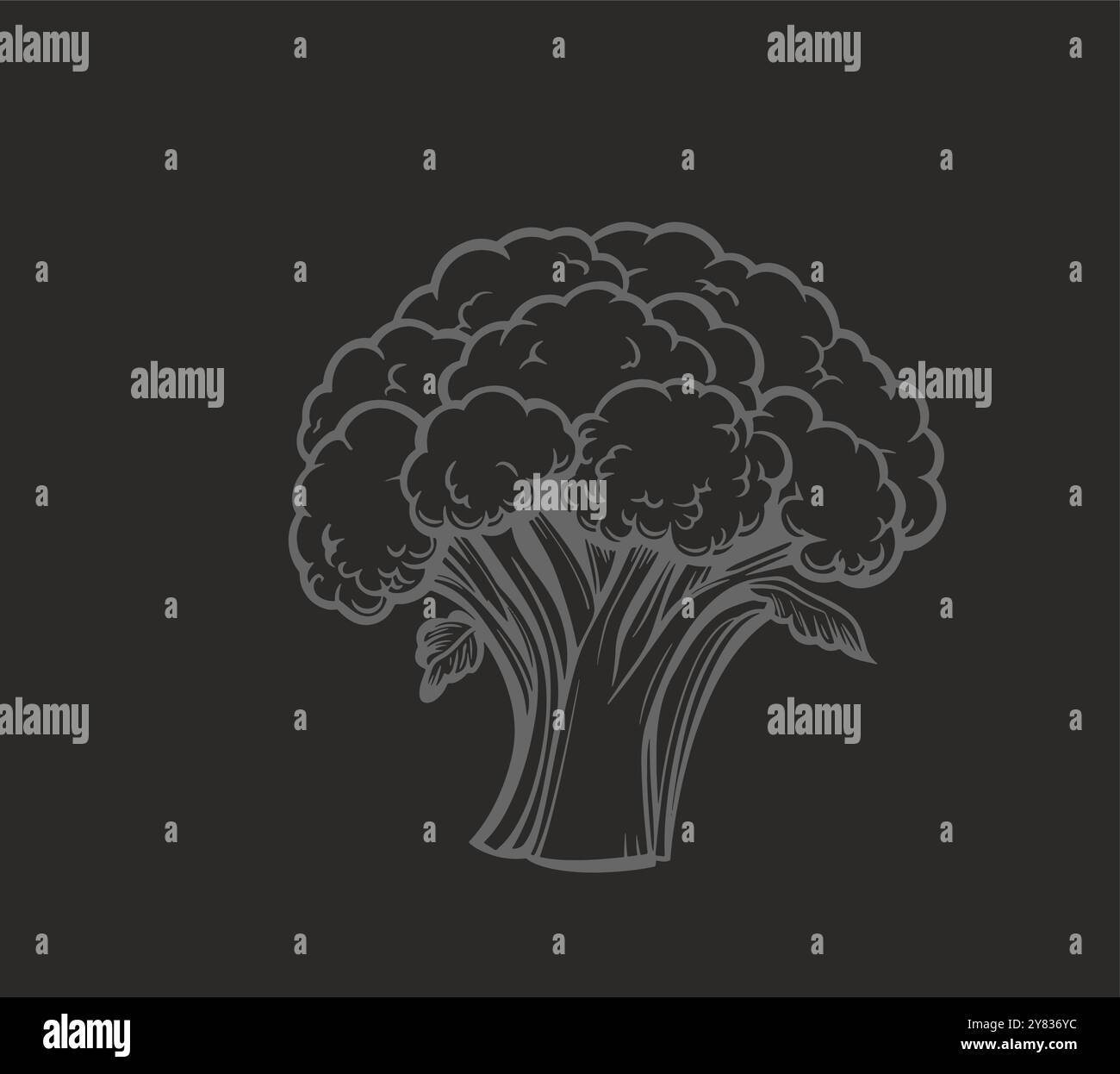 Broccoli hand-drawn vector Illustration Broccoli hand-drawn vector ...