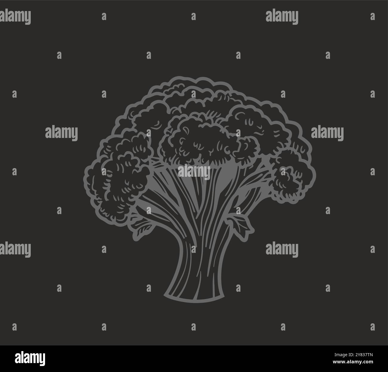 Broccoli hand-drawn vector Illustration Broccoli hand-drawn vector ...