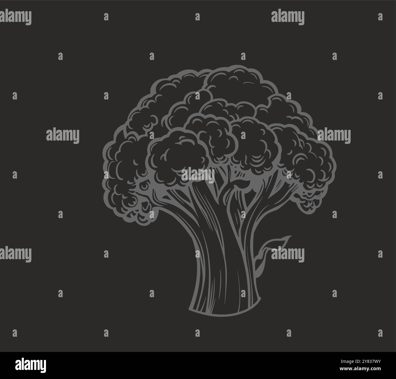 Broccoli hand-drawn vector Illustration Broccoli hand-drawn vector ...