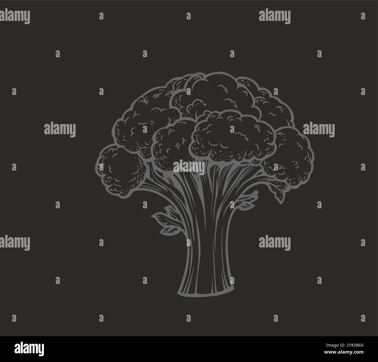 Broccoli hand-drawn vector Illustration Broccoli hand-drawn vector ...