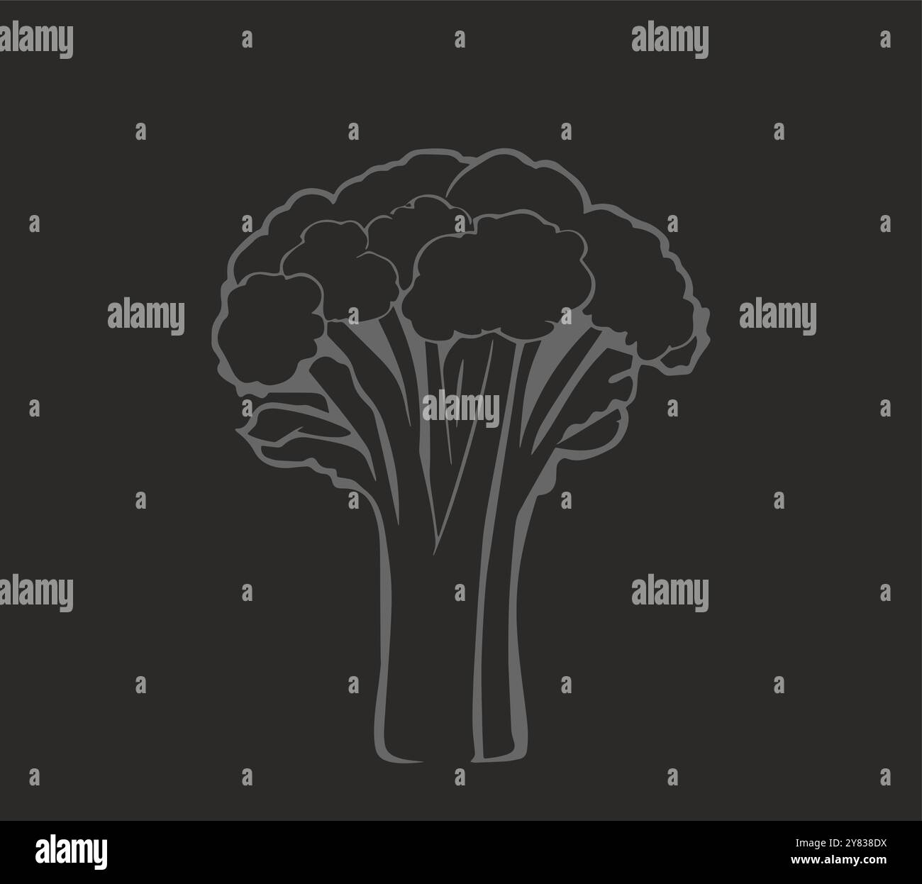 Broccoli hand-drawn vector Illustration Broccoli hand-drawn vector ...