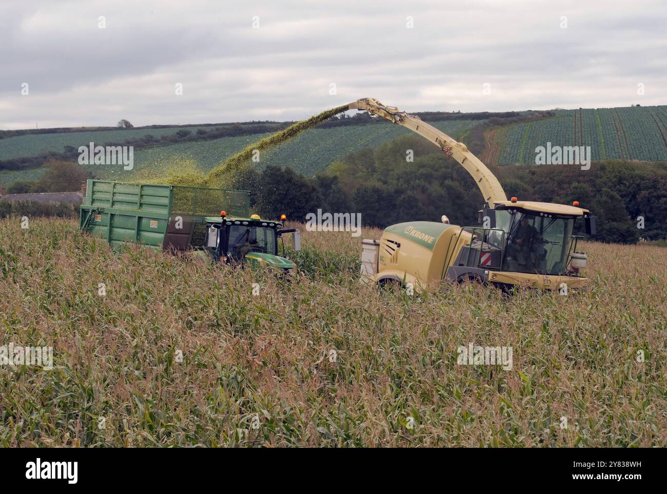 Combine makes summer harvest grain hi-res stock photography and images ...