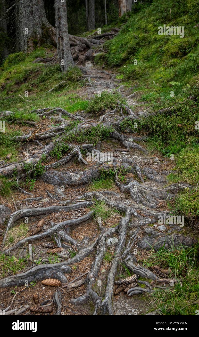 Wandervorbereitung hi-res stock photography and images - Alamy